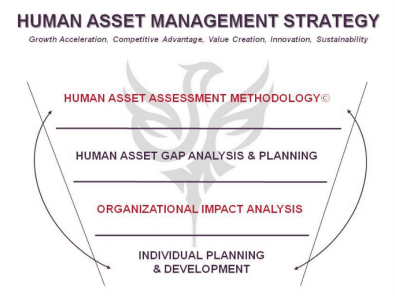 Human Asset Management Strategy: A New Approach