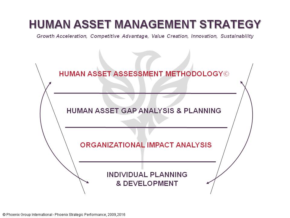 Organizational Development | Human Capital Consulting | Training
