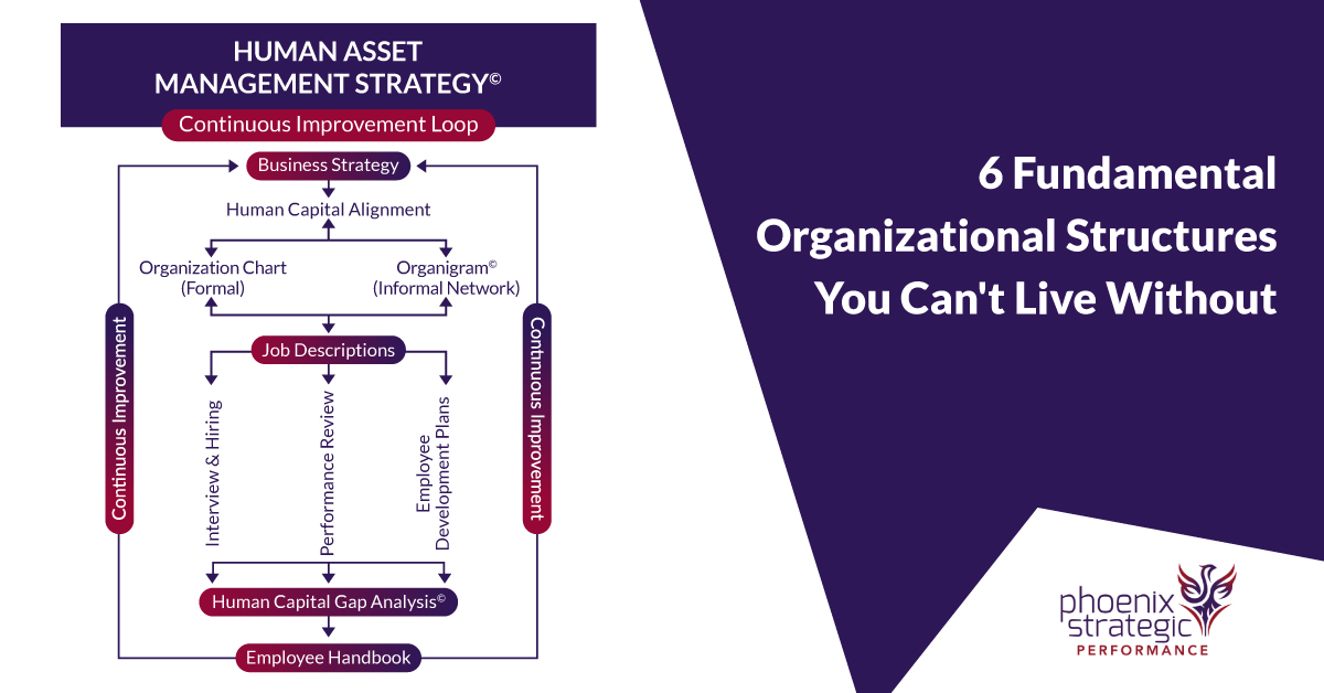6 Fundamental Organizational Structures You Can't Live Without