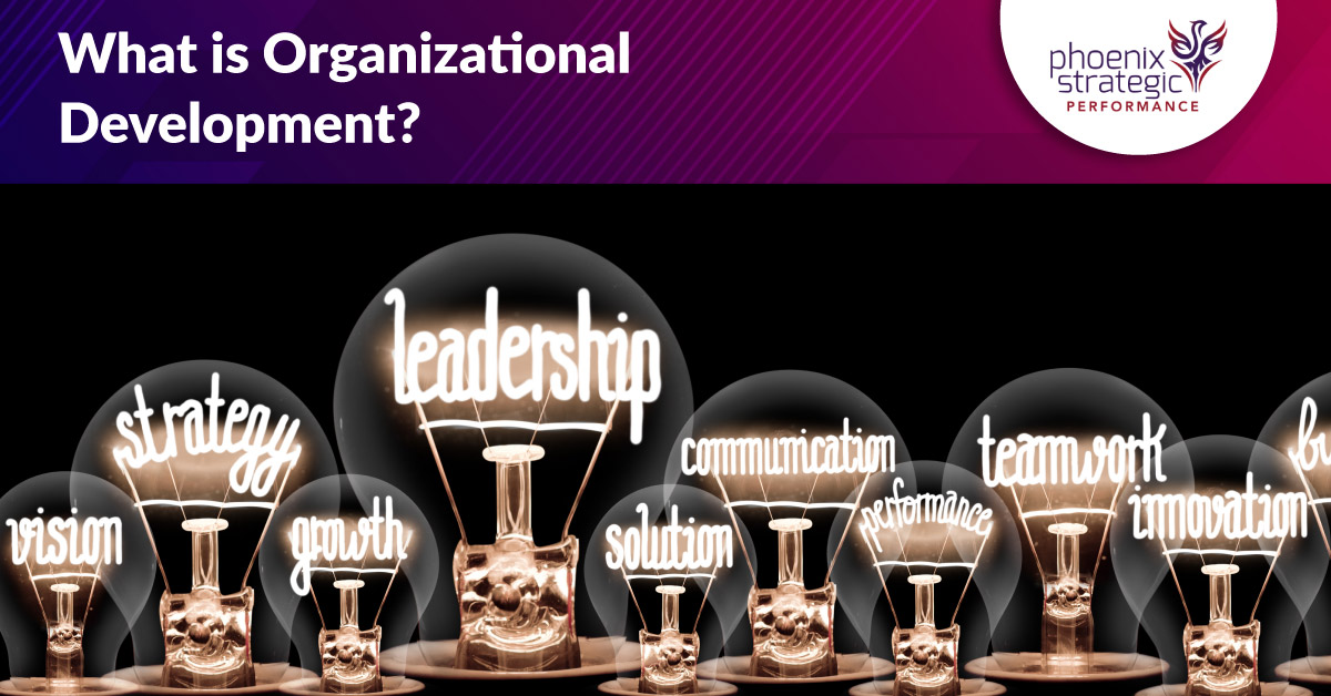 5 Critical Components to Organizational Development